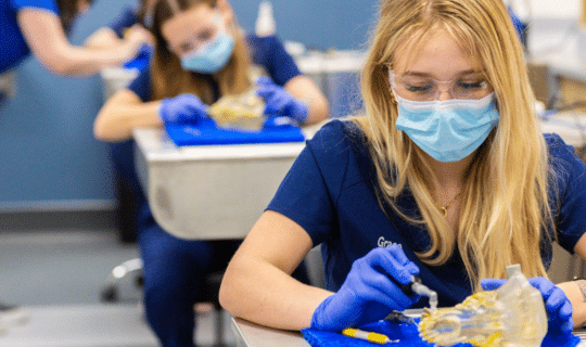 Licensed Practical Nurse (LPN) Certificate Program | NEIT