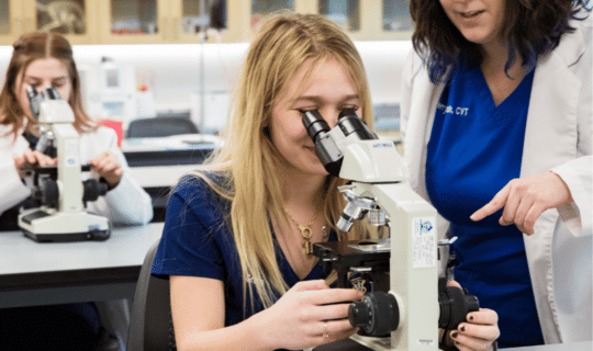 Licensed Practical Nurse (LPN) Certificate Program | NEIT