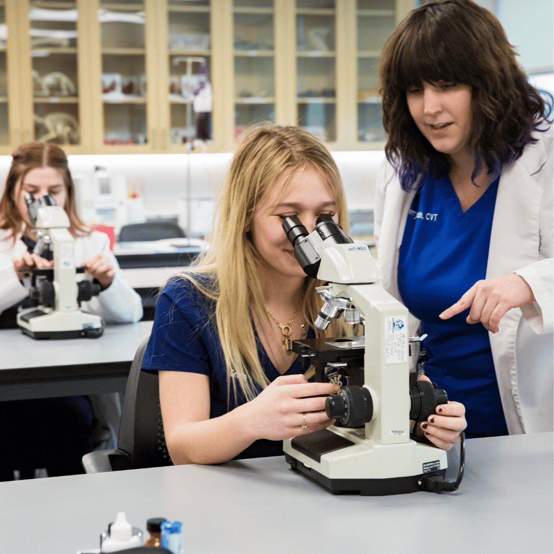 Degree Types | Associate, Bachelors, & Masters | NEIT