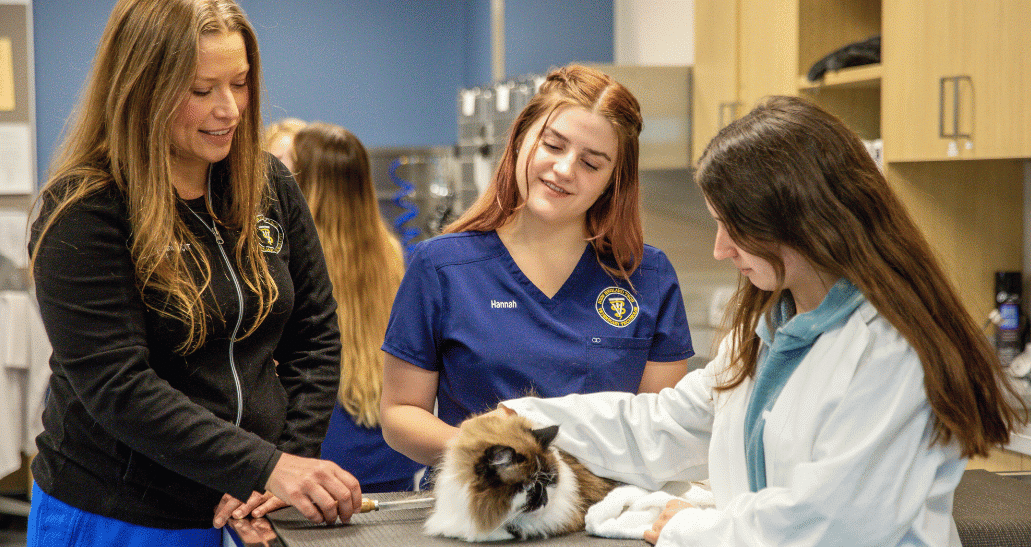 Visit Our Campus | NEIT