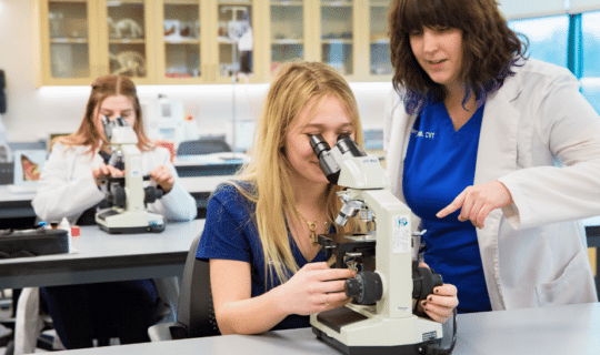 Academics | Explore Academic Opportunities | NEIT